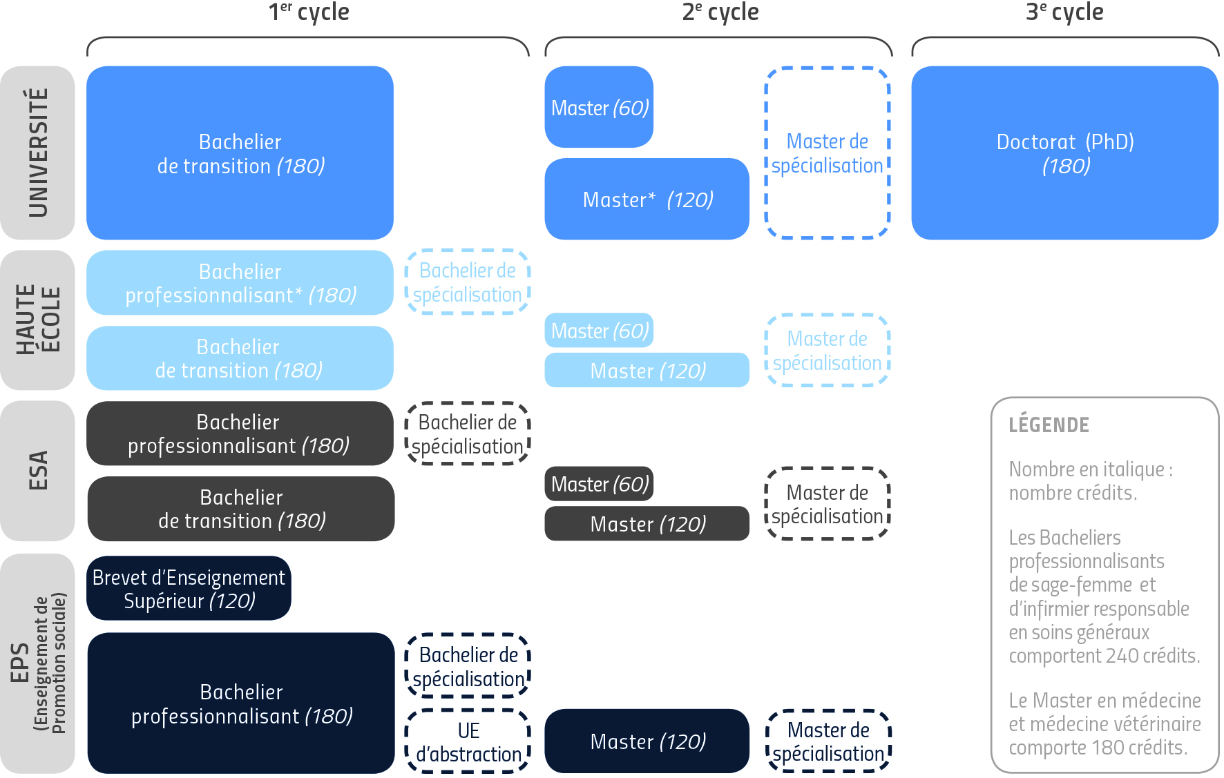 Structure des études - Pôle hainuyer